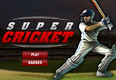 Cricket Games, Play Online Cricket Games Free, IPL Game, HTML5 & Flash ...